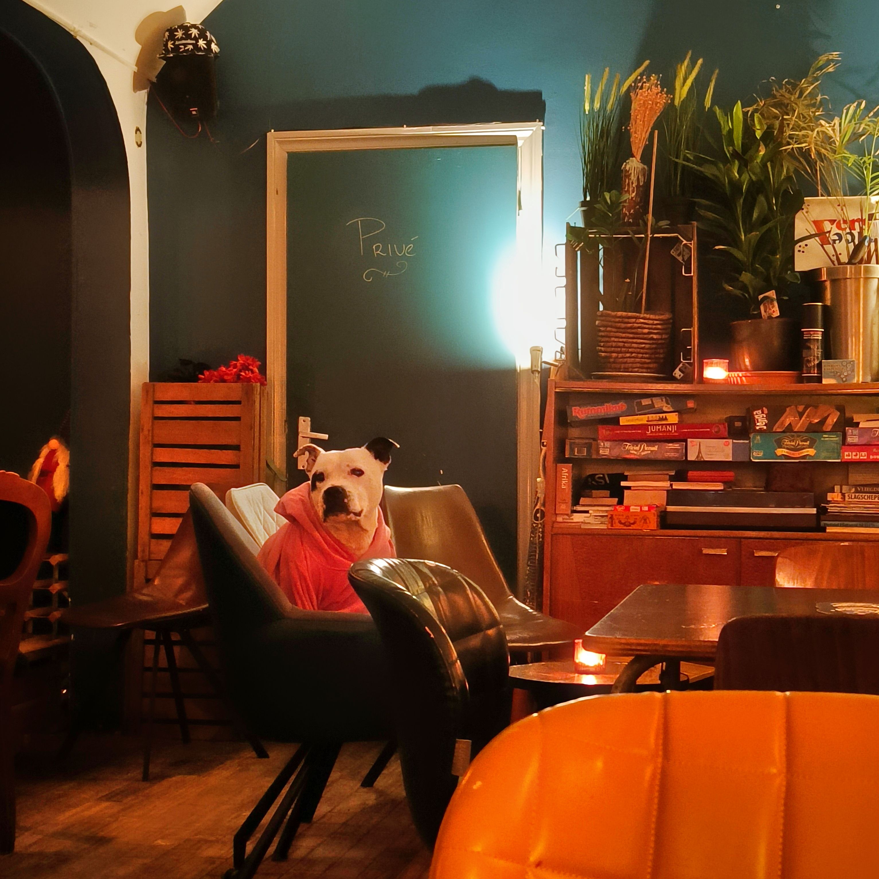 Vice Versa: where craft beer meets comedy – Eat Drink Amsterdam